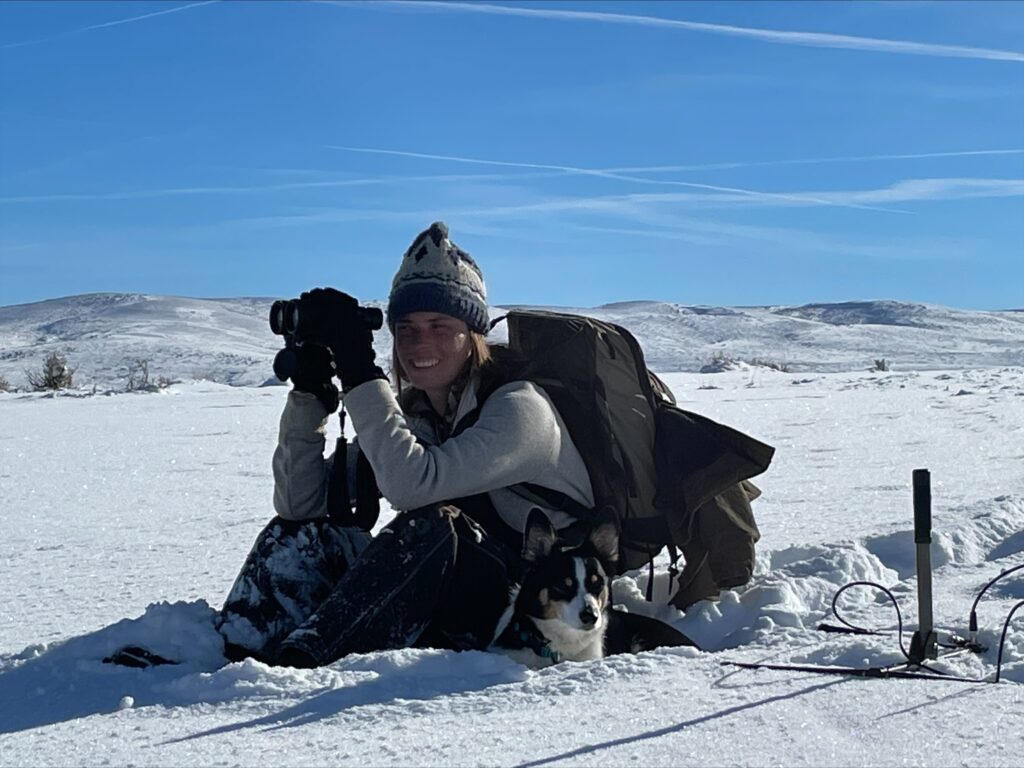 Wyoming Range Mule Deer Project – Monteith Shop