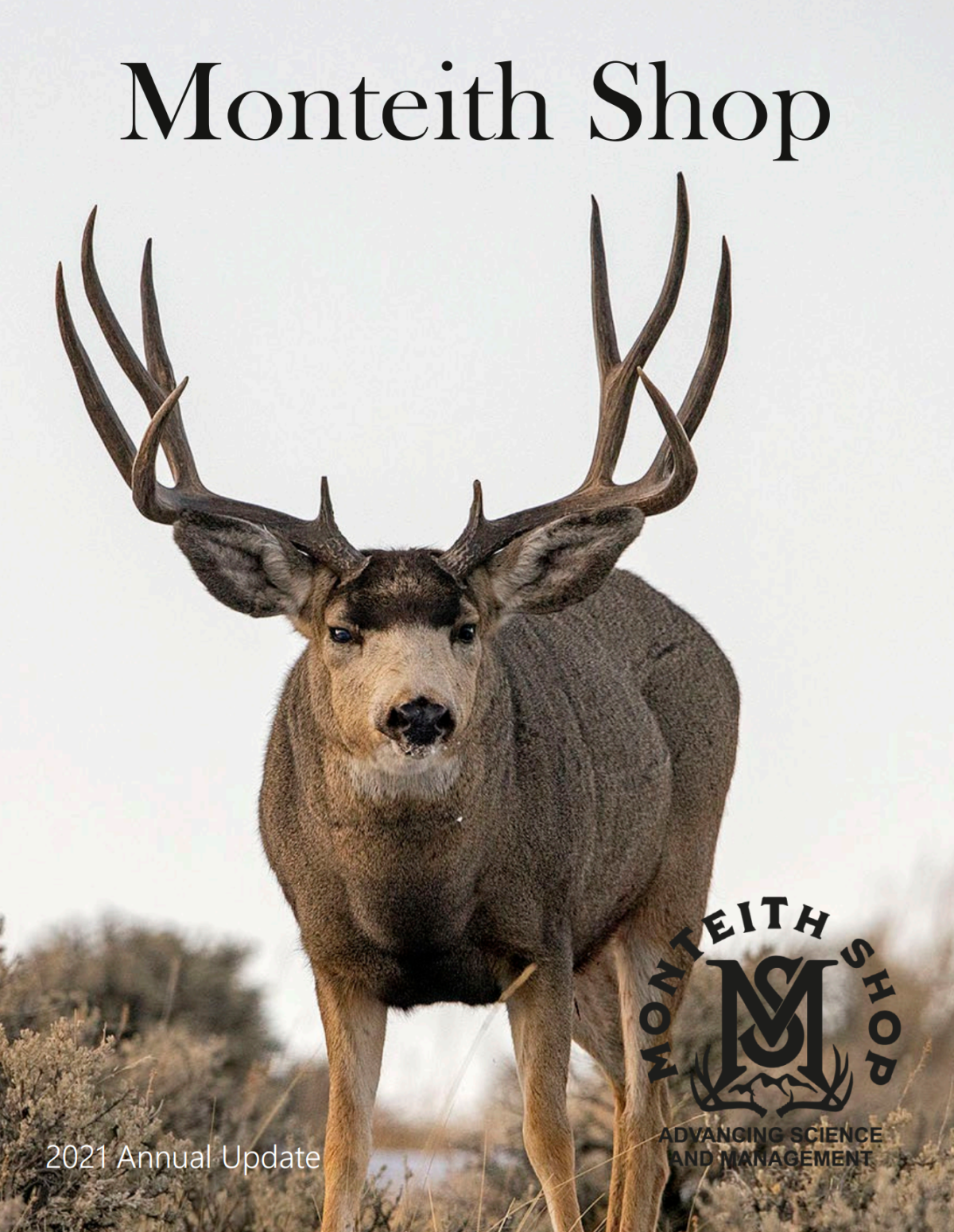 Reports and updates – Monteith Shop