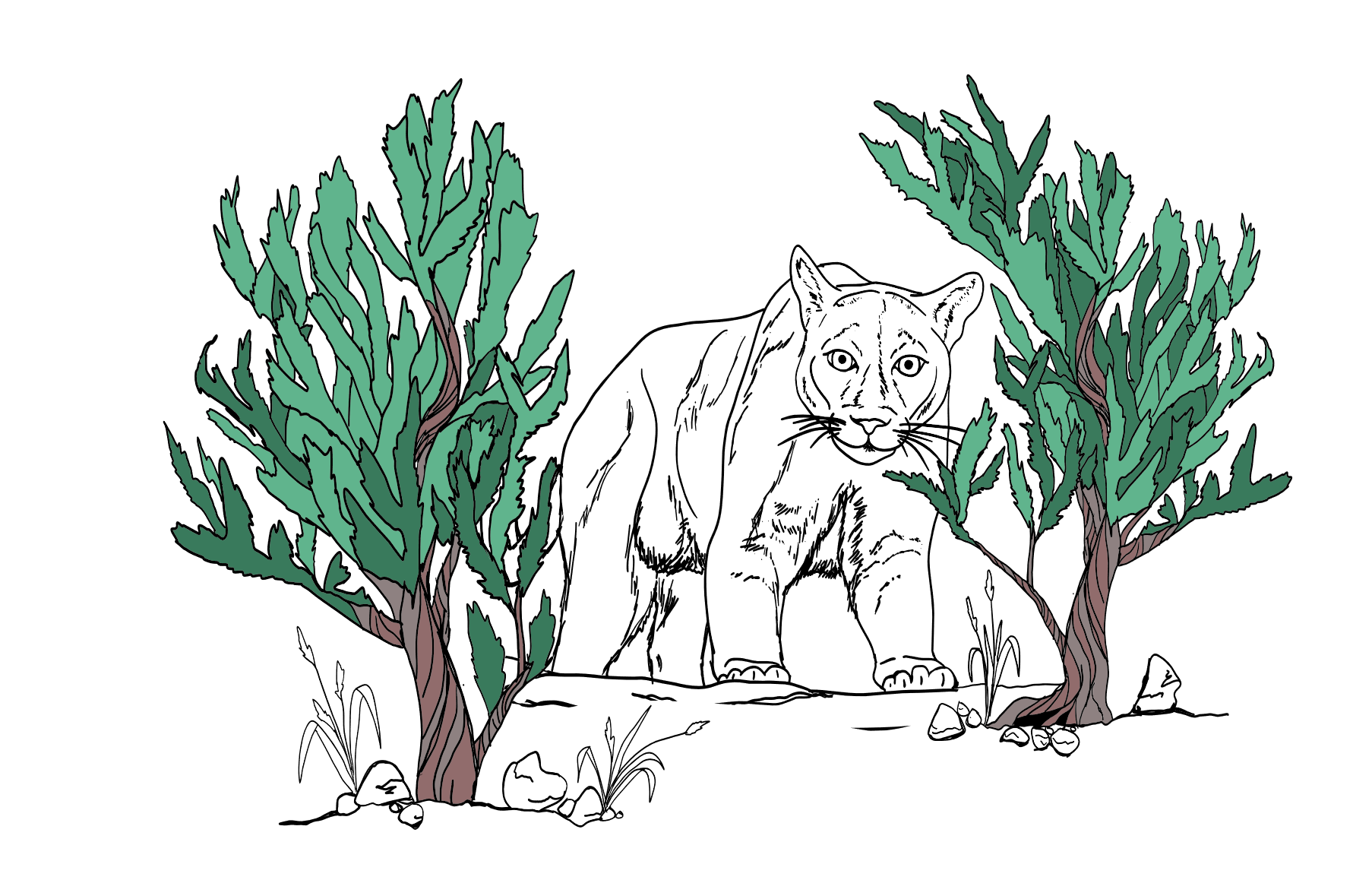 Compendiums – Monteith Shop